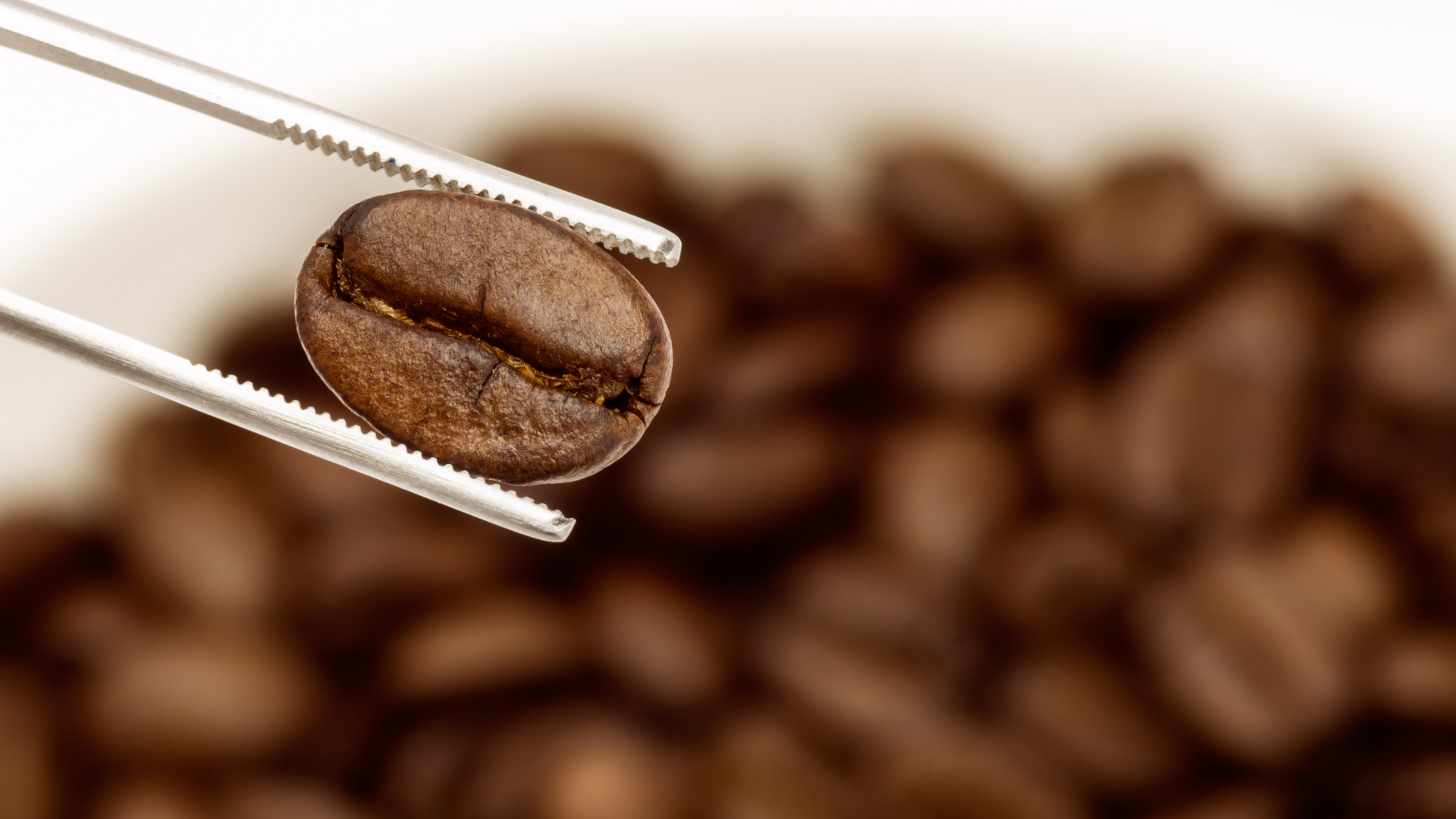 The Best Specialty Coffee in Madrid - fill your cup!