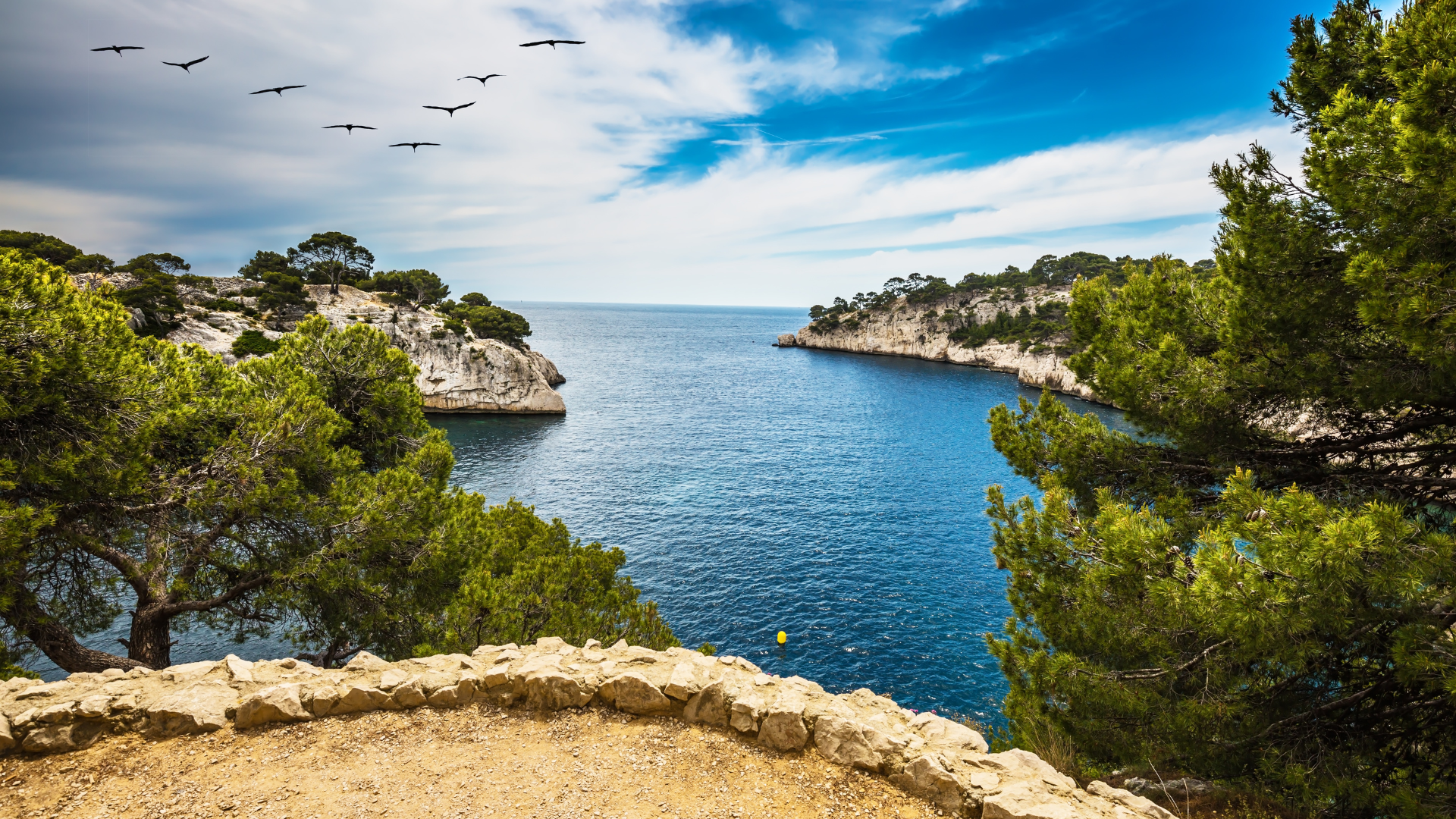 A Journey Through Calanques National Park